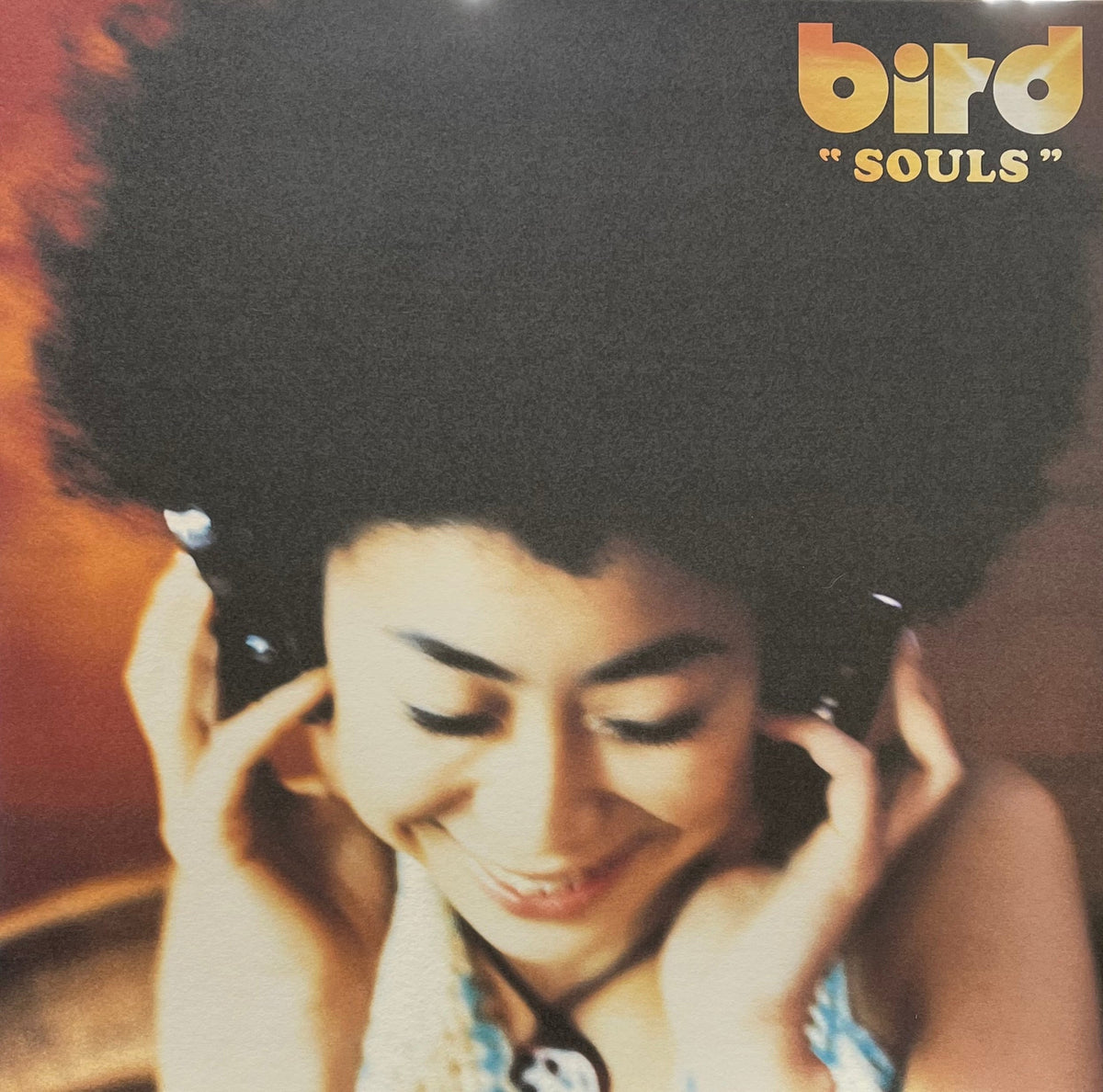 BIRD / Souls (SMEJ, AIJT-5017, 12inch) – TICRO MARKET