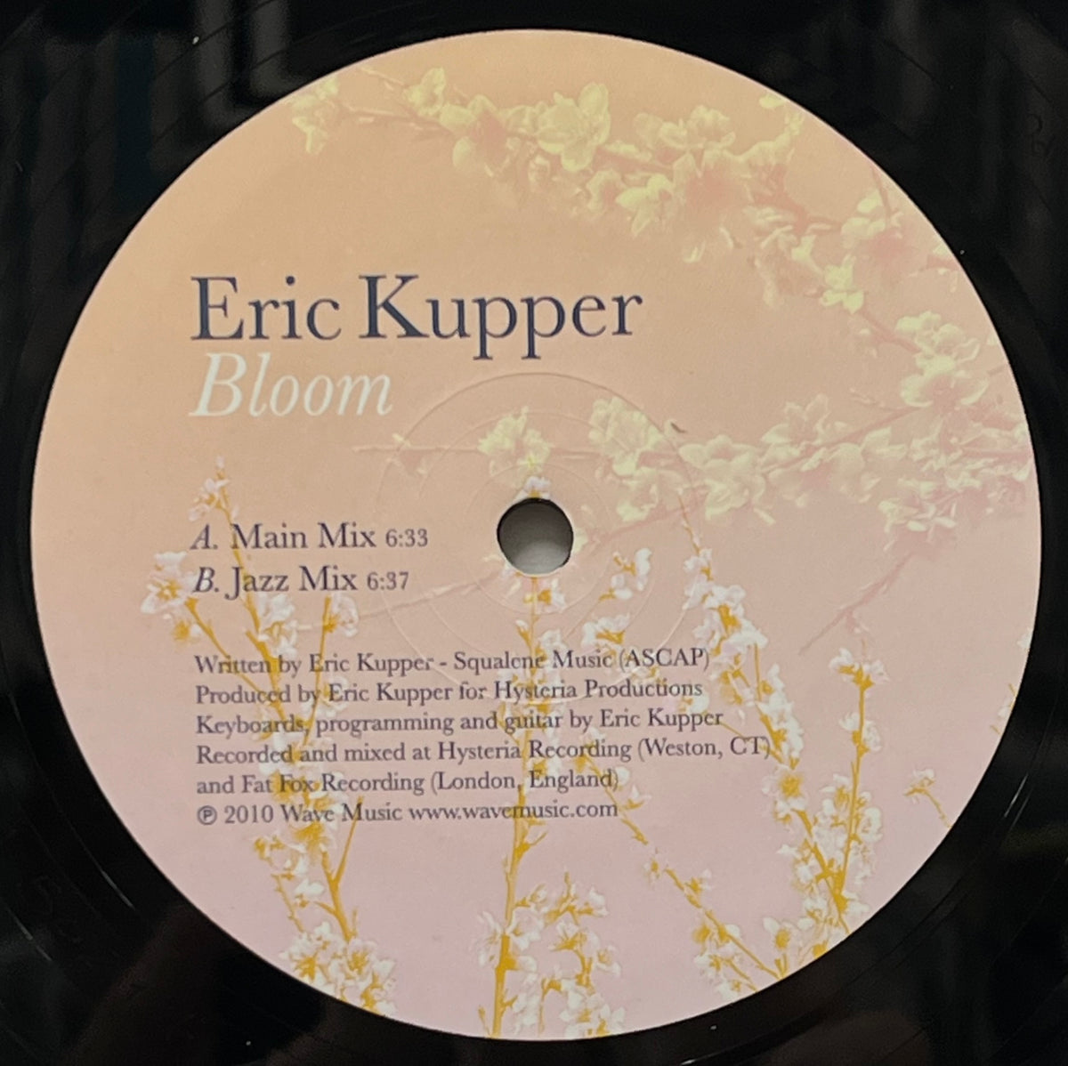 ERIC KUPPER / Bloom (Wave Music – WM 50217, 12inch) – TICRO MARKET