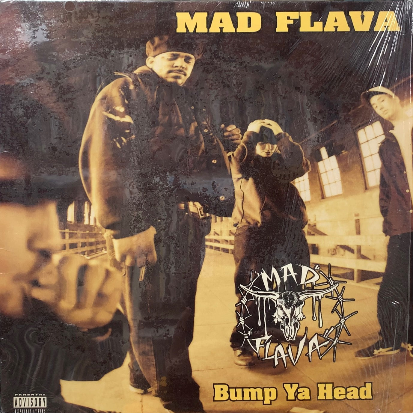 MAD FLAVA / Bump Ya Head / Housewreckers (PVL 53846, 12inch) – TICRO MARKET