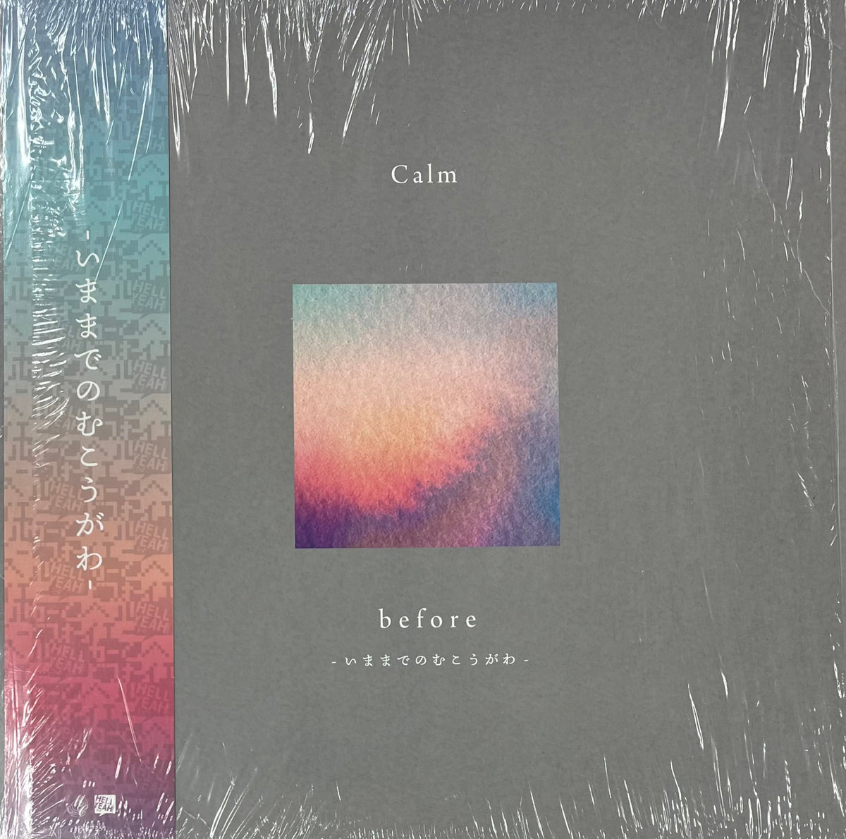 CALM / Before いままでのむこうがわ Up Until Now (Hell Yeah Recordings – HYR7251 ...