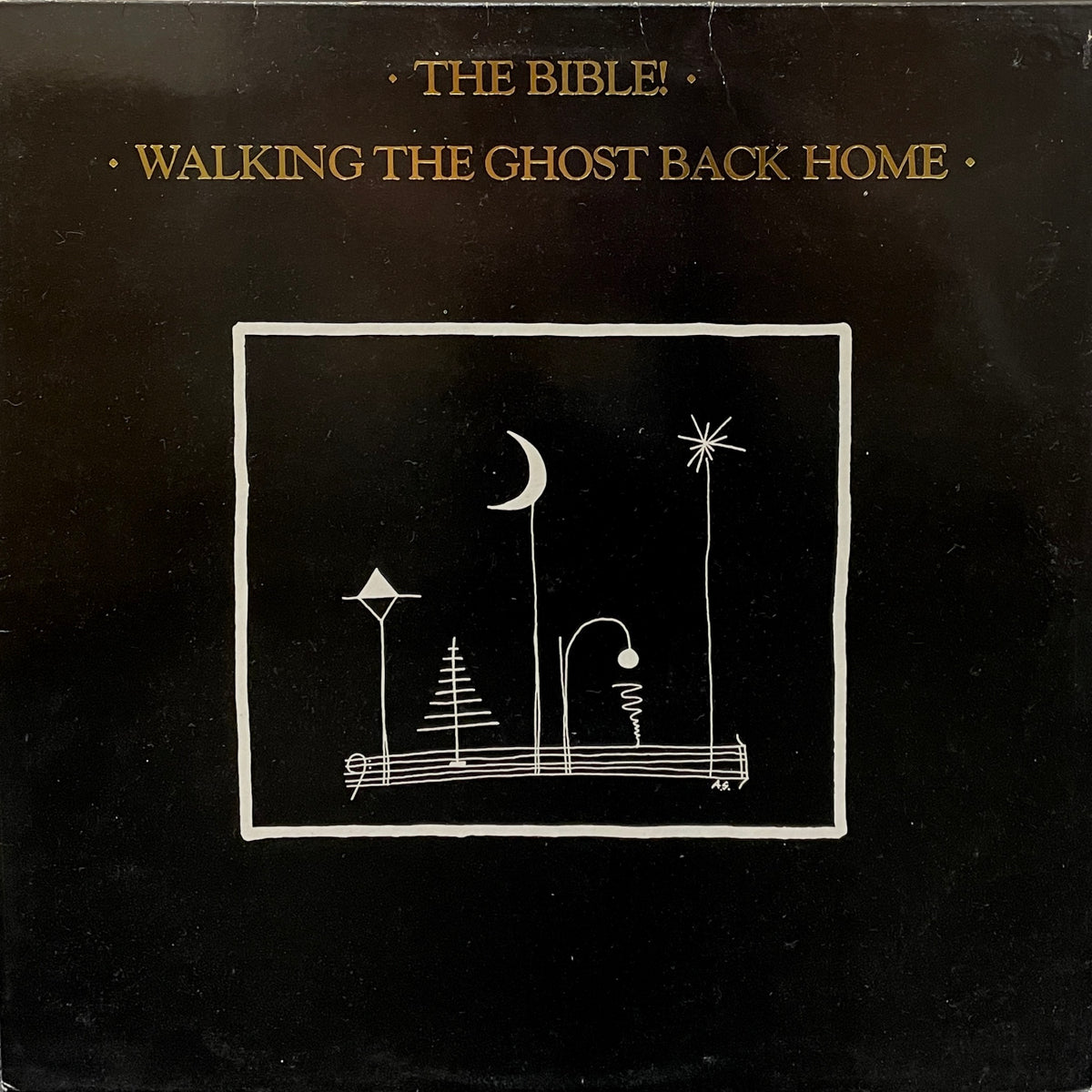 BIBLE! / Walking The Ghost Back Home ( Backs Records – NCHLP 8, LP ...