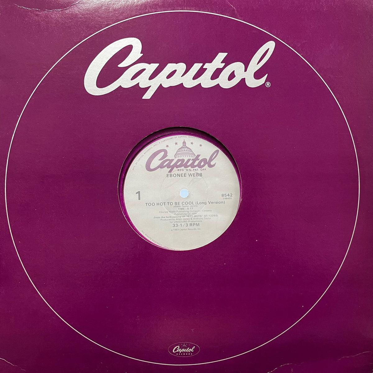 EBONEE WEBB / Too Hot To Be Cool (8542, 12inch) – TICRO MARKET