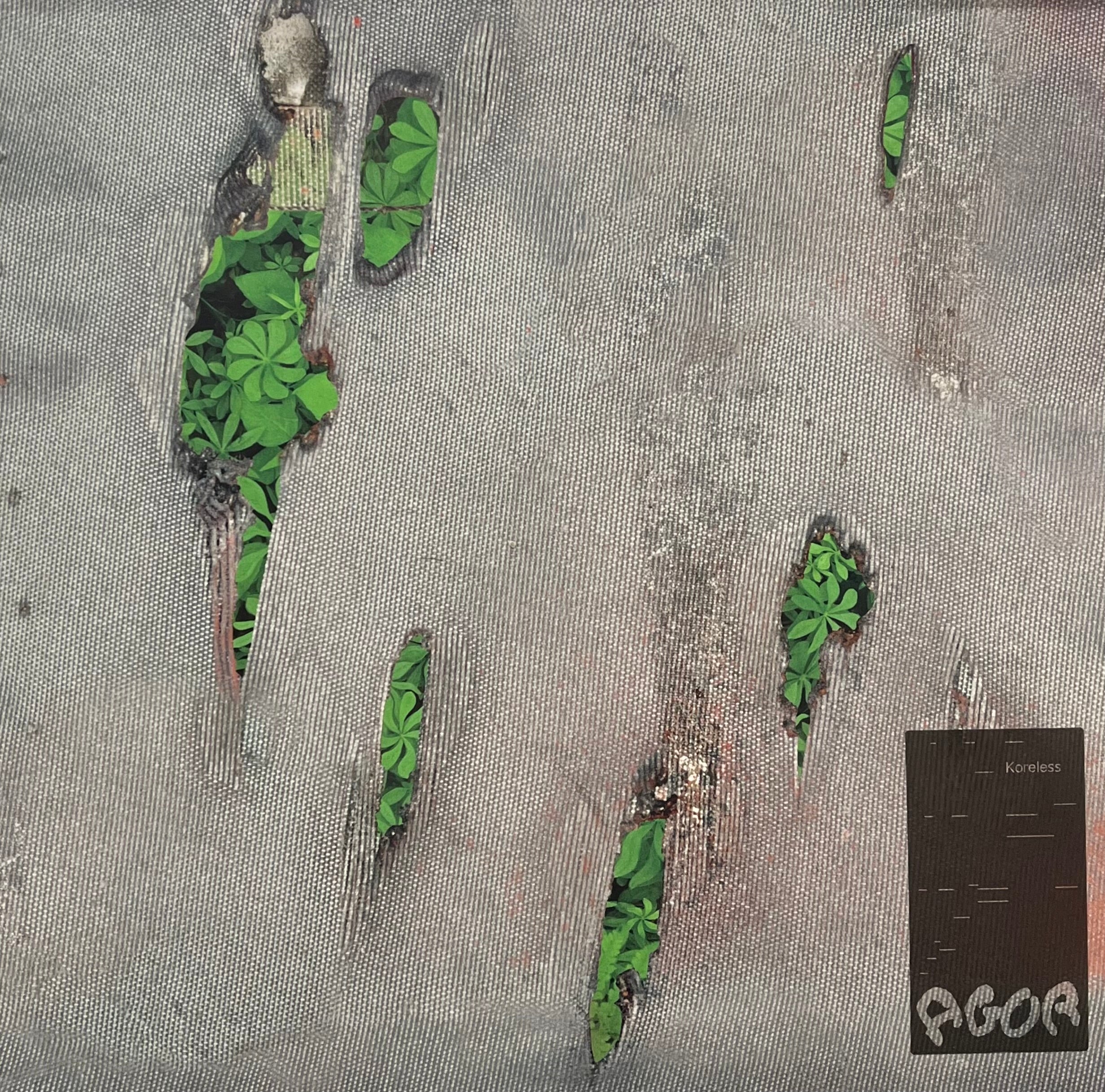 KORELESS / Agor (Young – YT214LP, LP) – TICRO MARKET