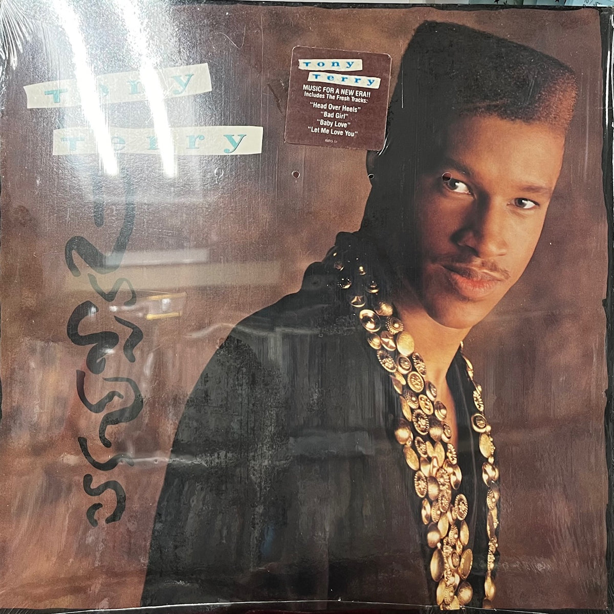 TONY TERRY / Tony Terry (E 45015, LP) – TICRO MARKET