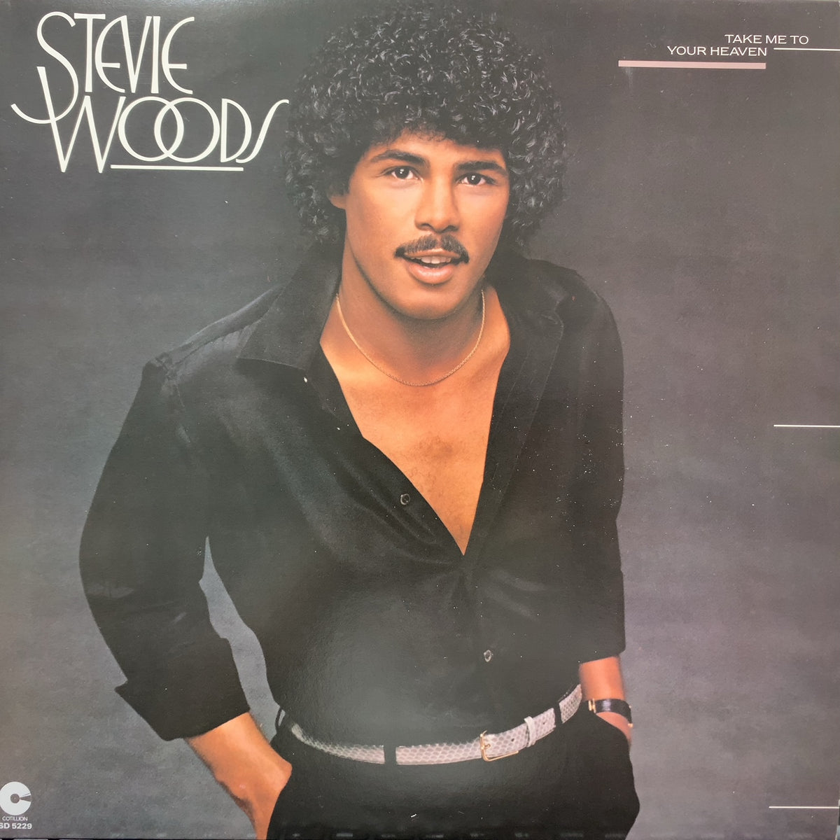 STEVIE WOODS / Take Me To Your Heaven (SD 5229, LP) – TICRO MARKET