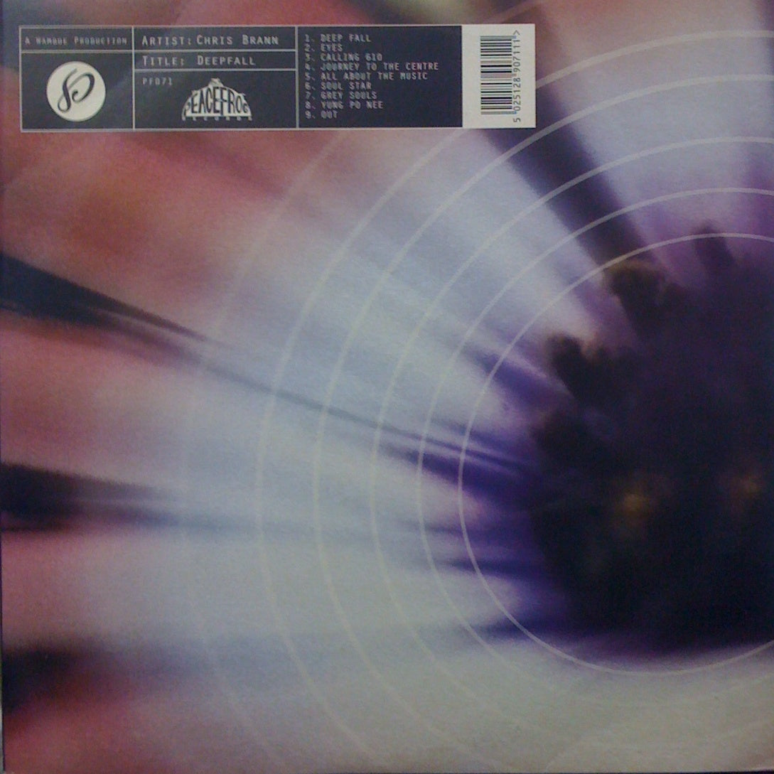 CHRIS BRANN / DEEPFALL – TICRO MARKET