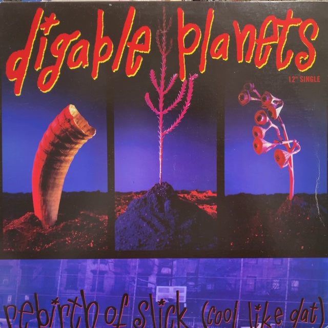 DIGABLE PLANETS / REBIRTH OF SLICK(COOL LIKE DAT) – TICRO MARKET