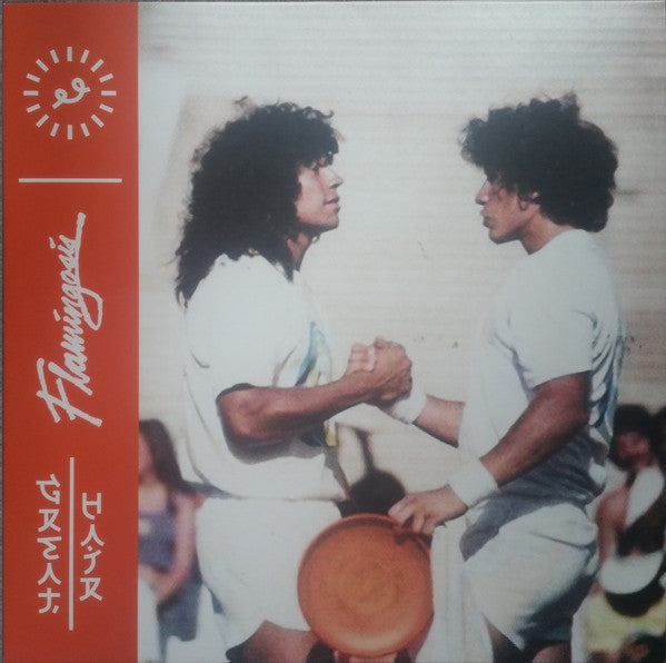 FLAMINGOSIS / Great Hair – TICRO MARKET