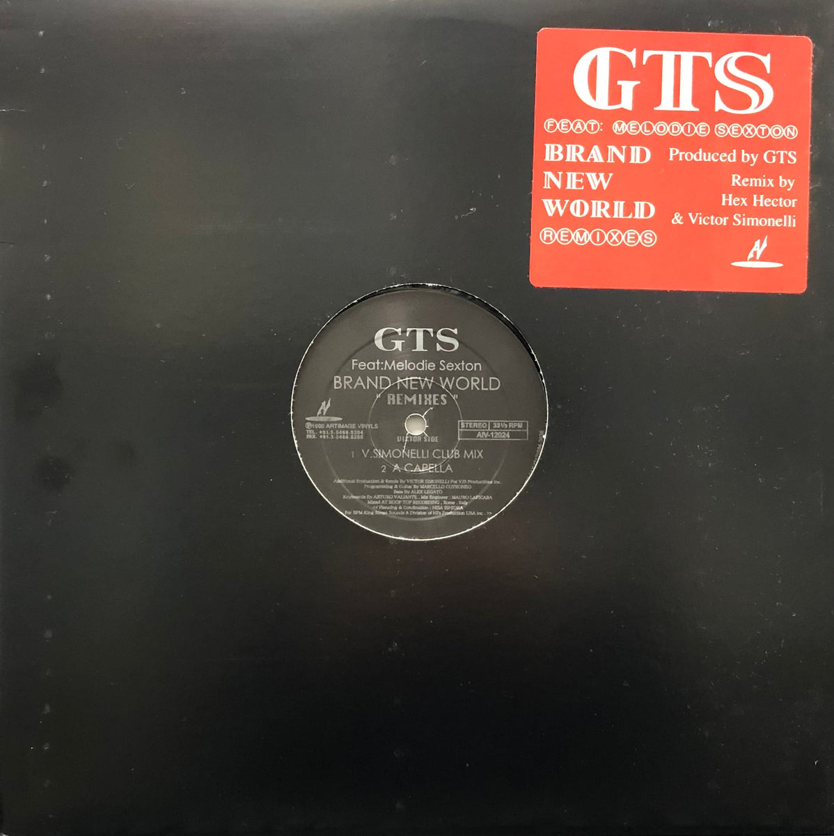 GTS / Brand New World Remixes (Artimage Vinyls, AIV-12024, 12inch ...