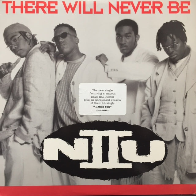 N II U / THERE WILL NEVER BE – TICRO MARKET