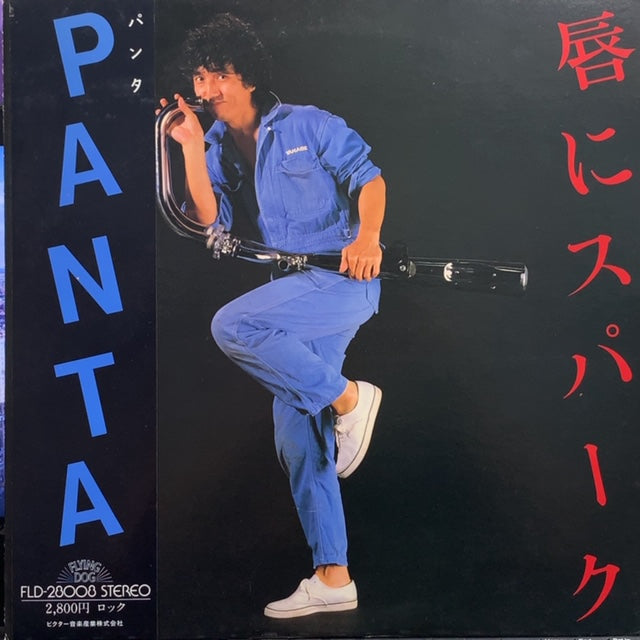 PANTA (パンタ) / P-Wave – TICRO MARKET