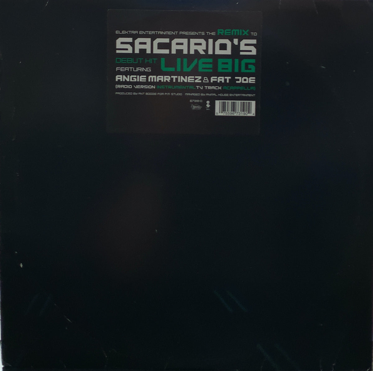 SACARIO feat ANGIE MARTINEZ & FAT JOE / Live Big (Remix) – TICRO MARKET