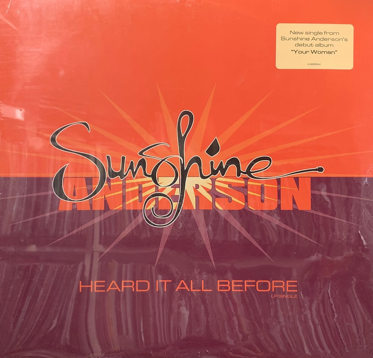 SUNSHINE ANDERSON / HEARD IT ALL BEFORE – TICRO MARKET