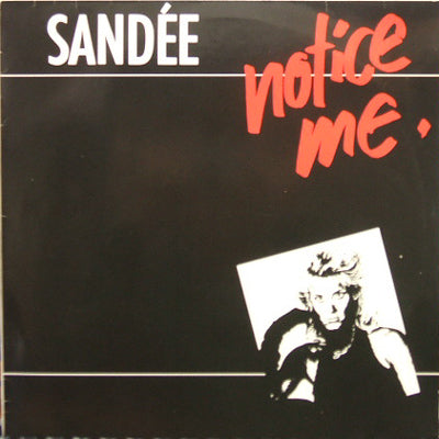 SANDEE / NOTICE ME – TICRO MARKET