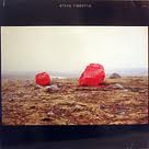 STEVE TIBBETTS / EXPLODED VIEW – TICRO MARKET